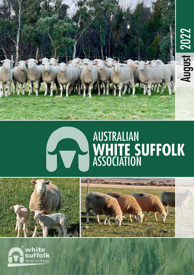 AWSA Printed Newsletter